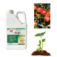 China 100% Soluble Soil Conditioner Fertilizer Seaweed Extract For Promoting Plants Growth for sale