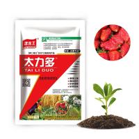 China Seaweed Extract Soil Conditioner Fertilizer 100% Natural Algae Fertilizer for sale