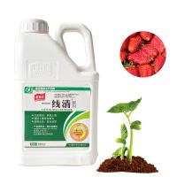 China Crop Nutrition Soil Conditioner Fertilizer 60-70% Shiny Flake Potassium Humate Foliar Spray for sale