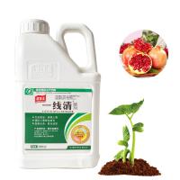 China Crop Nutrition Soil Conditioner Fertilizer 60-70% Shiny Flake Potassium Humate Foliar Spray for sale