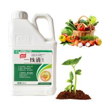 China Seaweed Extract Soil Conditioner Fertilizer Provide Nutritions And Healthy For Crops for sale