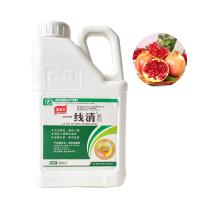 China Water Soluble Granular Soil Conditioner Seaweed Organic Fertilizer for sale