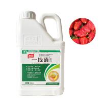 China Water Soluble Granular Soil Conditioner Seaweed Organic Fertilizer for sale