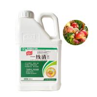 China Water Soluble Granular Soil Conditioner Seaweed Organic Fertilizer for sale