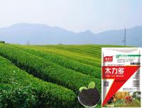 China Agricultural Soil Conditioner Fertilizer Sulphur Bentonite Powder For Fertilizer for sale