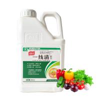 China 35-60% Organic Soil Conditioner Fertilizer Agriculture Humic Acid Granular for sale
