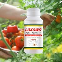 China Soil Borne Disease Organic Water Soluble Fertilizer Rich Nitrogen Topdressing for sale