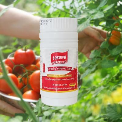 China Roots Promoter Organic Npk Fertilizer Biostimulants Natural Liquid Seaweed Extract for sale