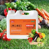 China Top Notch Nutrition 20 20 20 Liquid Soluble Fertilizer Npk For Indoor Plants for sale