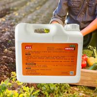 China Yield Booster Water Soluble Liquid Fertilizer NPK 15-15-15 for sale