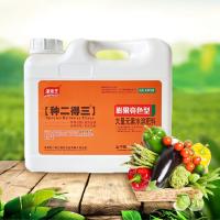 China Stress Resistance Affordable Water Soluble Liquid Fertilizer NPK 20-20-20 for sale