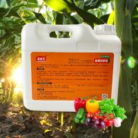 China Blend NPK 20-20-20 Water Soluble Liquid Fertilizer Promoting Fruit Development for sale