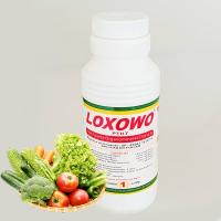 China Comprehensive Nutrition High Natural Water Soluble Fertilizer Nitrogen Foliar Liquid Acid for sale