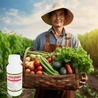 China Comprehensive Nutrition High Natural Water Soluble Fertilizer Nitrogen Foliar Liquid Acid for sale