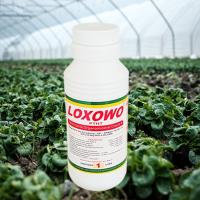 China Natural Green Foliar Organic Water Soluble Fertilizer Nutrient Rich for sale