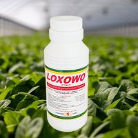 China Natural Green Foliar Organic Water Soluble Fertilizer Nutrient Rich for sale