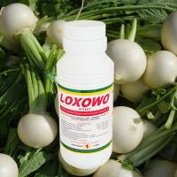 China Natural Green Foliar Organic Water Soluble Fertilizer Nutrient Rich for sale
