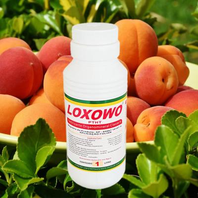 China Organic Liquid Humic Acid Soluble Fertiliser Sustainable For Agriculture for sale