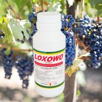 China Organic Liquid Humic Acid Soluble Fertiliser Sustainable For Agriculture for sale