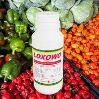 China Organic Liquid Humic Acid Soluble Fertiliser Sustainable For Agriculture for sale