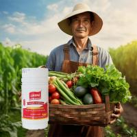 China Excellent Agricultural Organic Water Soluble Fertilizer Fertilisers For Plant Root Enhancer for sale