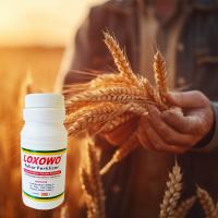 China 100% Foliar Organic Water Soluble Fertilizer Efficient for sale