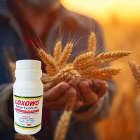 China Liquid Organic Soluble Fertilizer Agricultural For Yield Increase for sale