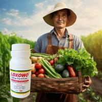 China Agricultural Organic Water Soluble Fertilizer Humic Acid Liquid Npk for sale