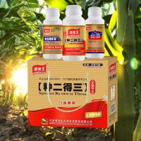 China Effective Natural Npk Nutrition Hydroponic Solution Plant Growth Organic Liquid Garden Fertilizer For Vegetable for sale