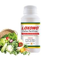China Manufacturing In China Hot Sale Plant Organic Compound Fertilizer NPK 20-20-20 for sale