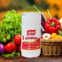 China LOXOWO High Yield Organic Fertilizer Humic Acid Foliar Water Soluble Fertilizer for sale