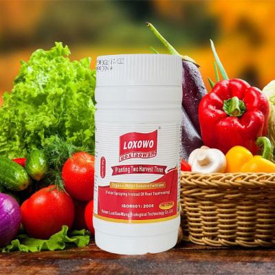 China LOXOWO High Yield Organic Fertilizer Humic Acid Foliar Water Soluble Fertilizer for sale