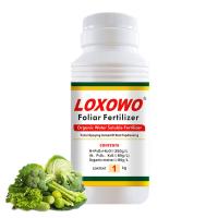 China Hot Selling For Hydroponics Liquid Nutrients Fertilizer for sale
