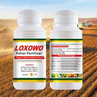 China Hot Selling For Hydroponics Liquid Nutrients Fertilizer for sale