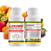 China Manufacturing In China Hot Sale Plant Organic Compound Fertilizer for sale