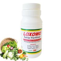 China High Quality Root Hydroponic Liquid Plant Fertilizer Trusted Manufacturer for sale
