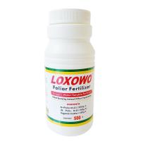 China High Quality Root Hydroponic Liquid Plant Fertilizer Trusted Manufacturer for sale