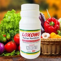 China High Quality Root Hydroponic Liquid Plant Fertilizer Trusted Manufacturer for sale