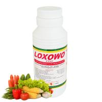 China Odorless Organic Liquid Foliar Root Fertilizer Enhance Crop Health And Yield for sale