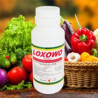 China Odorless Organic Liquid Foliar Root Fertilizer Enhance Crop Health And Yield for sale