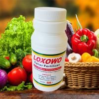 China Specialized Manufacturer Root Hydroponic Liquid Fertilizer For All Plants for sale