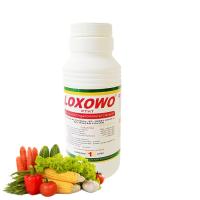 China Maximize Crop Productivity With Root Hydroponic Liquid Plant Fertilizer for sale