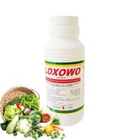 China Maximize Crop Productivity With Root Hydroponic Liquid Plant Fertilizer for sale