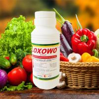 China Maximize Crop Productivity With Root Hydroponic Liquid Plant Fertilizer for sale