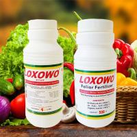 China 10-10-10 Organic Liquid Foliar Fertilizer Improve Plant Root Development for sale