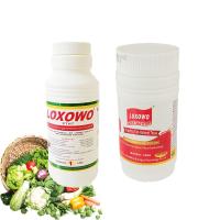 China Premium Liquid Fertilizer For Root And Foliar Application for sale