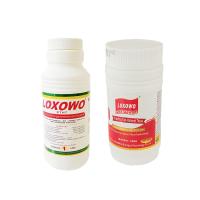 China Premium Liquid Fertilizer For Root And Foliar Application for sale