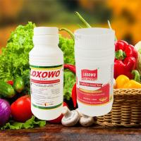 China Premium Liquid Fertilizer For Root And Foliar Application for sale