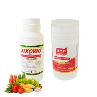 China Specialized Manufacturer Root Hydroponic Liquid Plant Fertilizer 6% Npk for sale