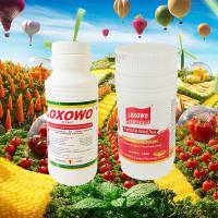 China Specialized Manufacturer Root Hydroponic Liquid Plant Fertilizer 6% Npk for sale